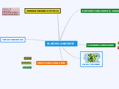 EL MEDIO AMBIENTE - Mind Map
